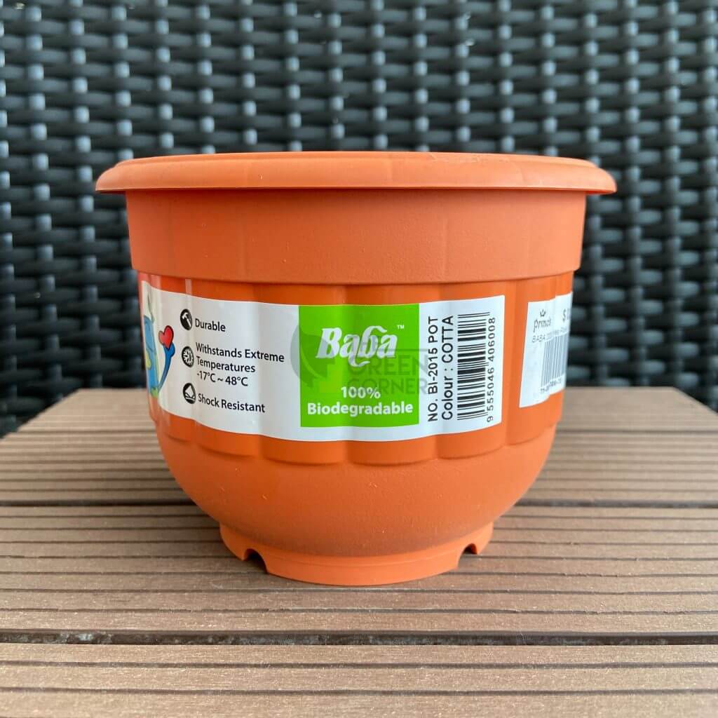 The Green Corner | Online Shop by Prince's Landscape