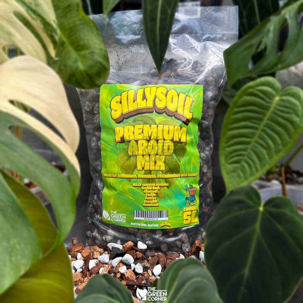 SILLYSOIL Premium Aroid Mix (5L) - The Green Corner