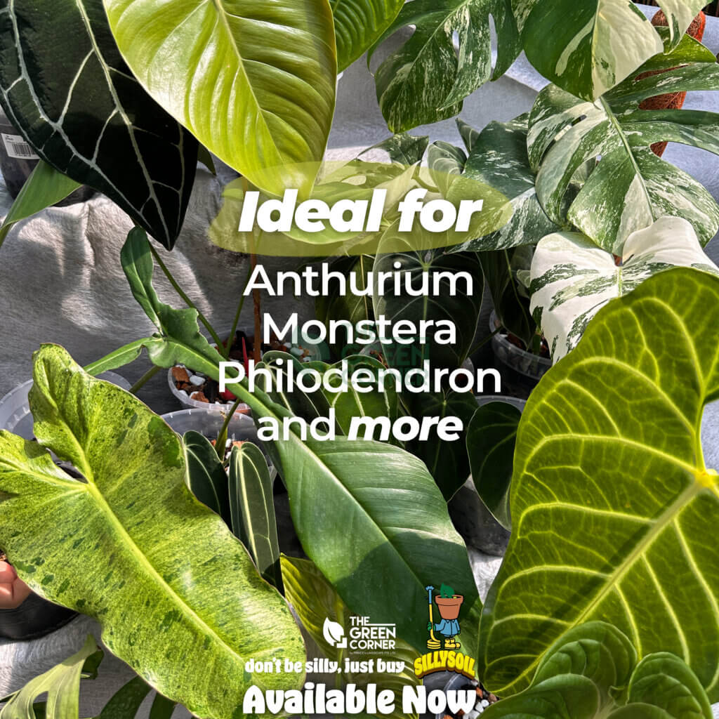 SILLYSOIL Premium Aroid Mix 5L - The Green Corner