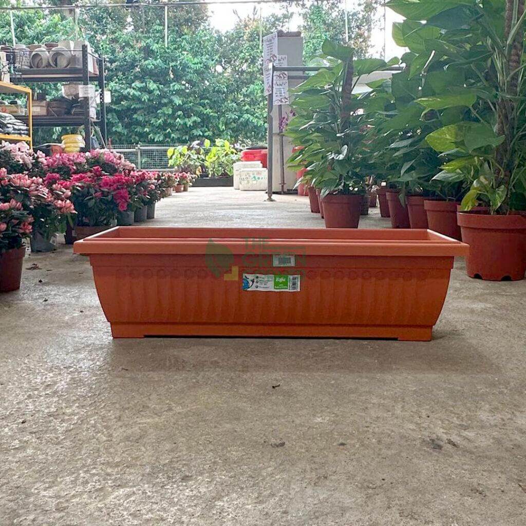 Baba Planter Box - The Green Corner