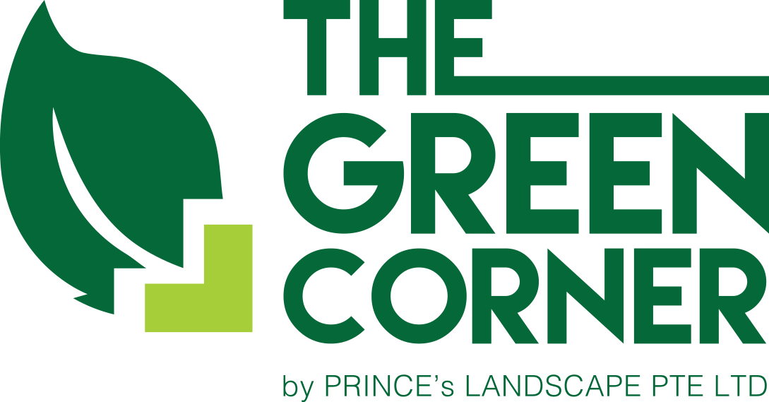 Ornaments Archives - The Green Corner